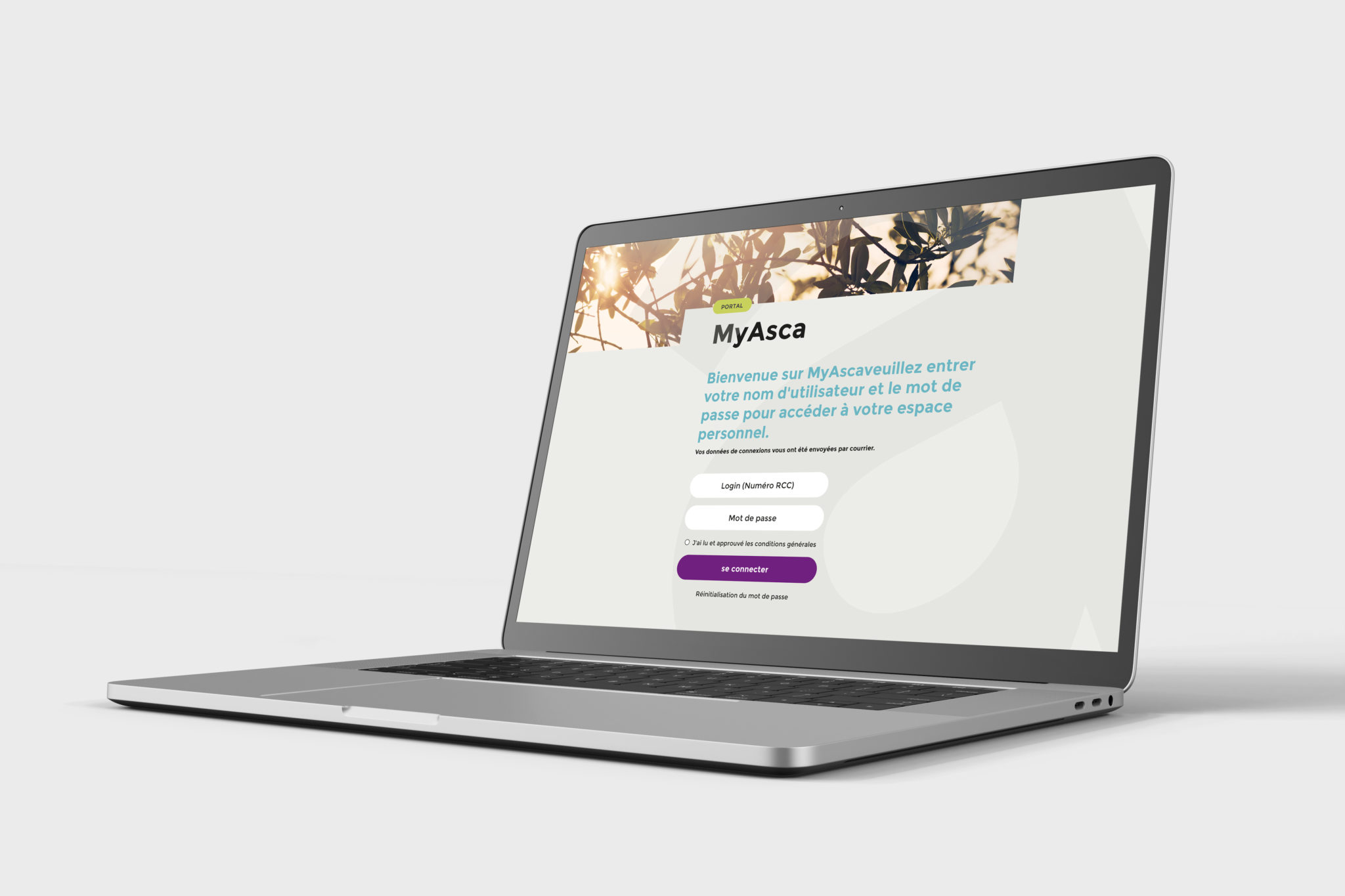 ASCA-Therapeut*innen - ASCA